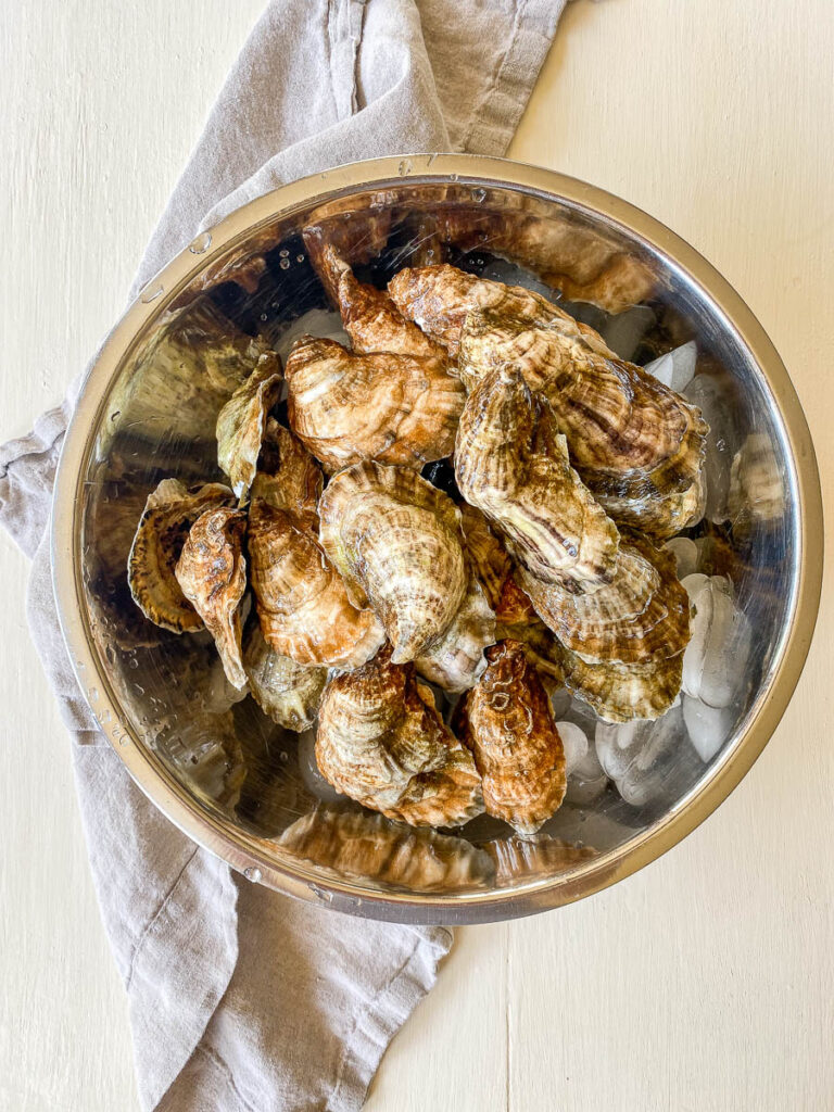 Oysters on the Half Shell | Oysters | Jenny Shea Rawn